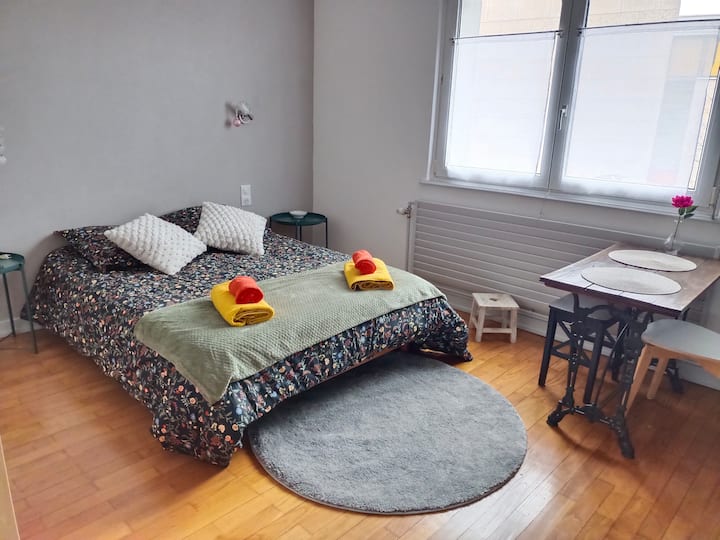 Chambre Dans La Maison Du Propriétaire - Vendenheim