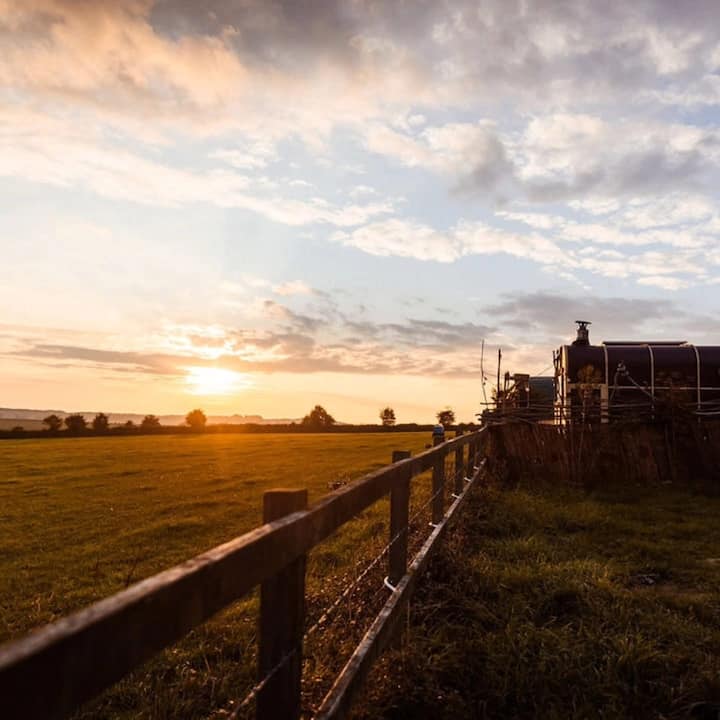 Entire Wild Pitch Camping - Wantage