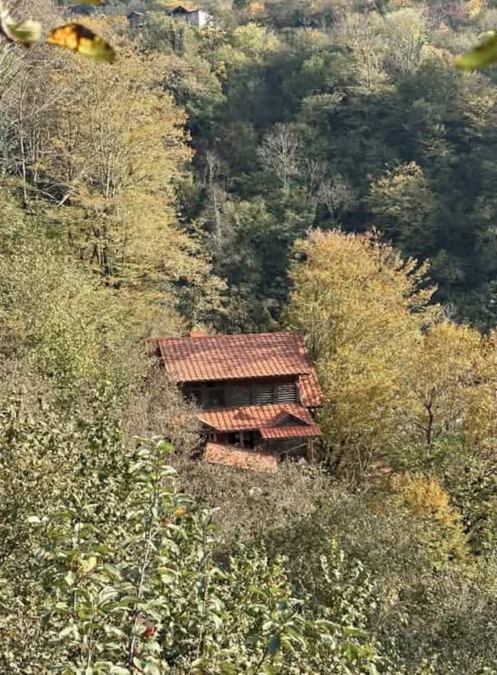 Nature Cabin: Sauna, Jacuzzi, Bbq & Fireplace - Georgia