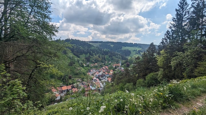 Willa Wildemann - Zeit Sich Zu Erholen! - Hahnenklee-Bockswiese