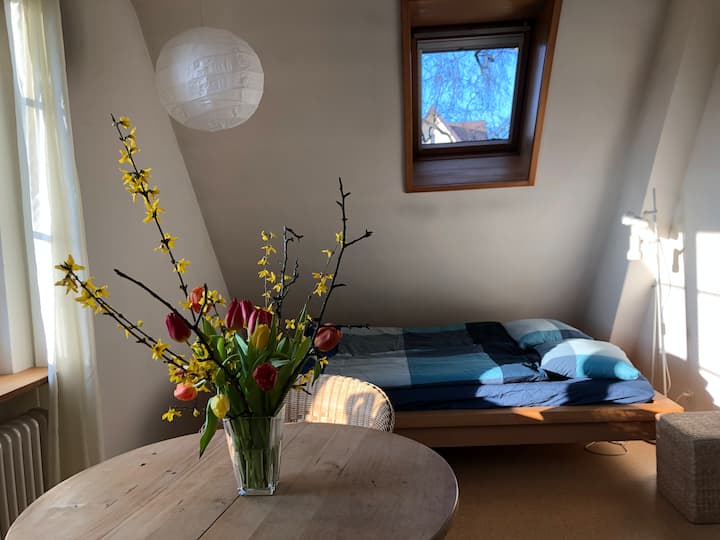 Kleine Oase Nähe Zentrum - Zúrich