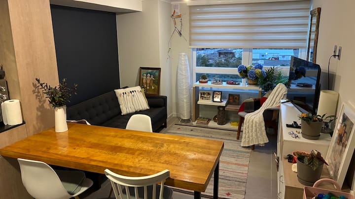 Hermoso Departamento De Artista Textil - Punta Arenas