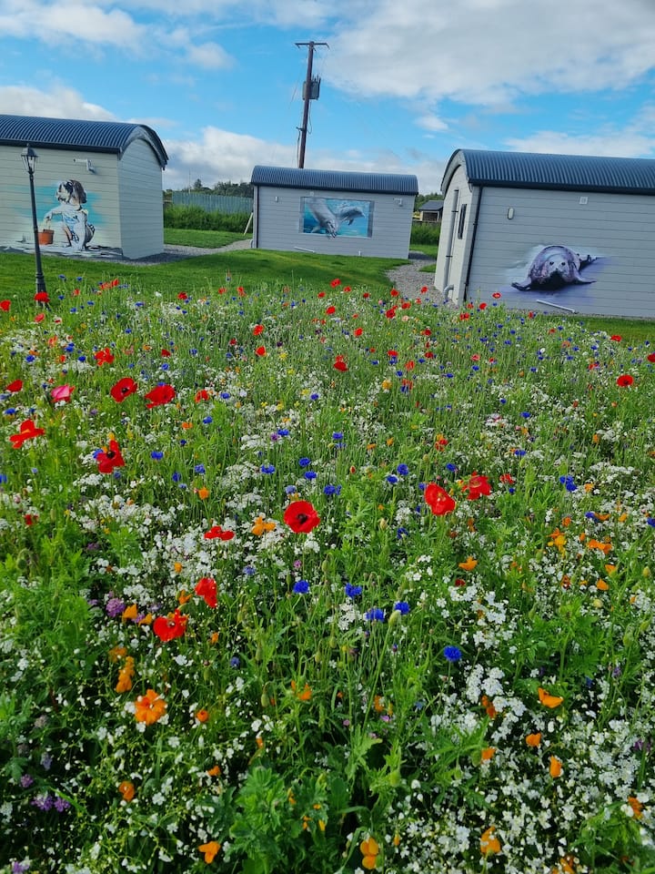 Guest Accomodation. Glamping Barn 7. - Enniscrone