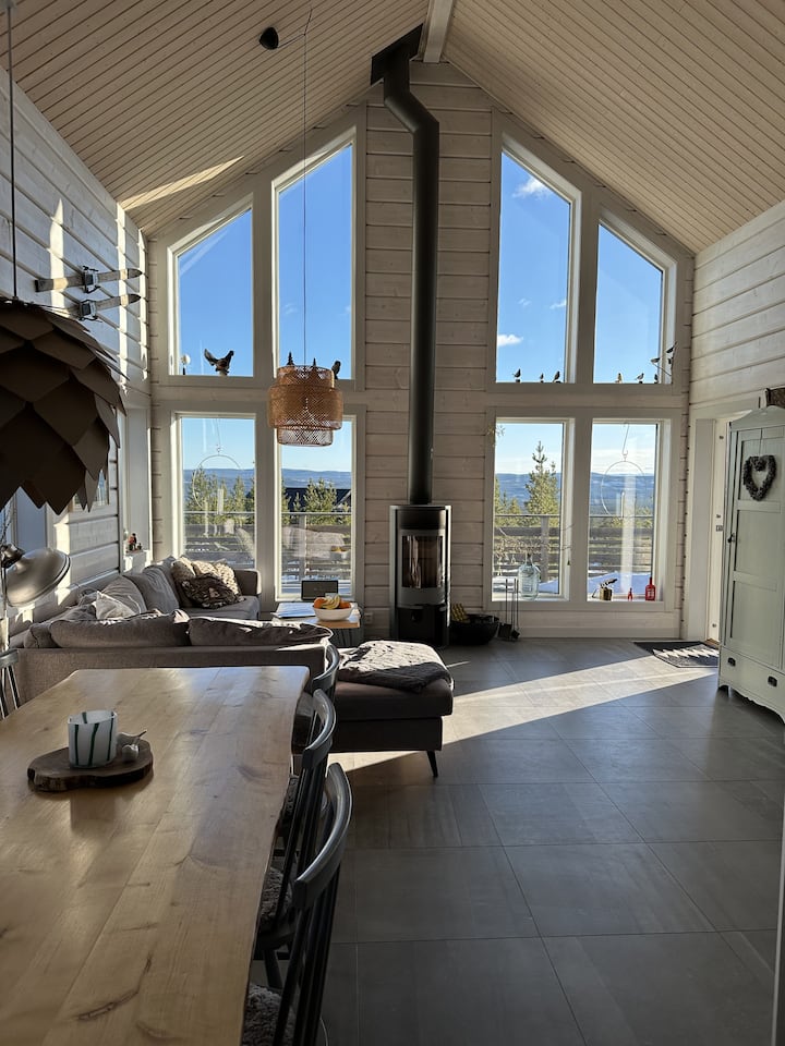 Ski-in And Ski-out Cabin In Idre Himmelfjall - Härjedalen