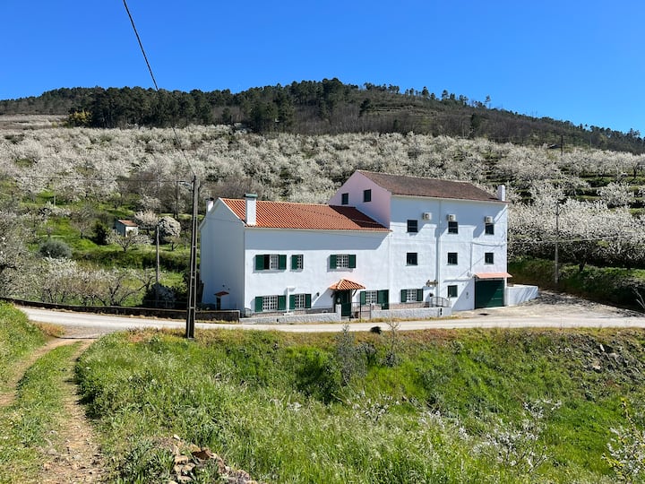 Miraculous Jungle · Cherry Farm · Fundão - Fundão