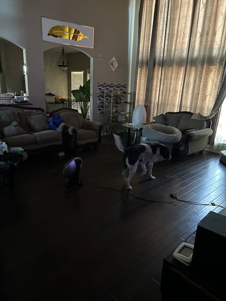 Big House Plenty Of Space - DeSoto, TX