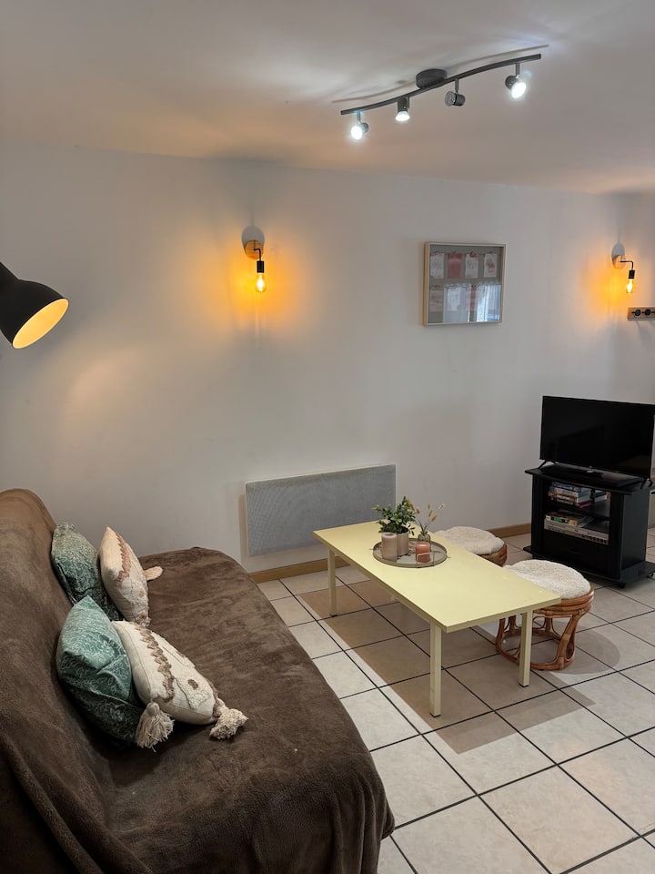 Appartement T3 Spacieux Et Familial - Auzat