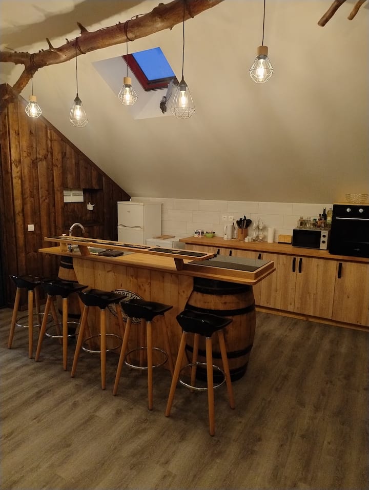 Grande Maison 5 Chambres "Les Pierres De Loire" - France