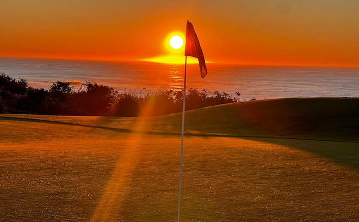 Beachside Birdie - Central Coast