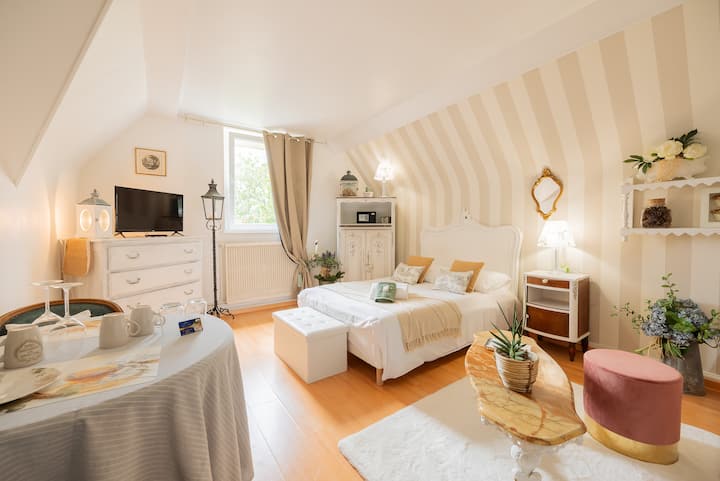 Villa Notre Dame Face Au Chateau Fort-provence - Sedan