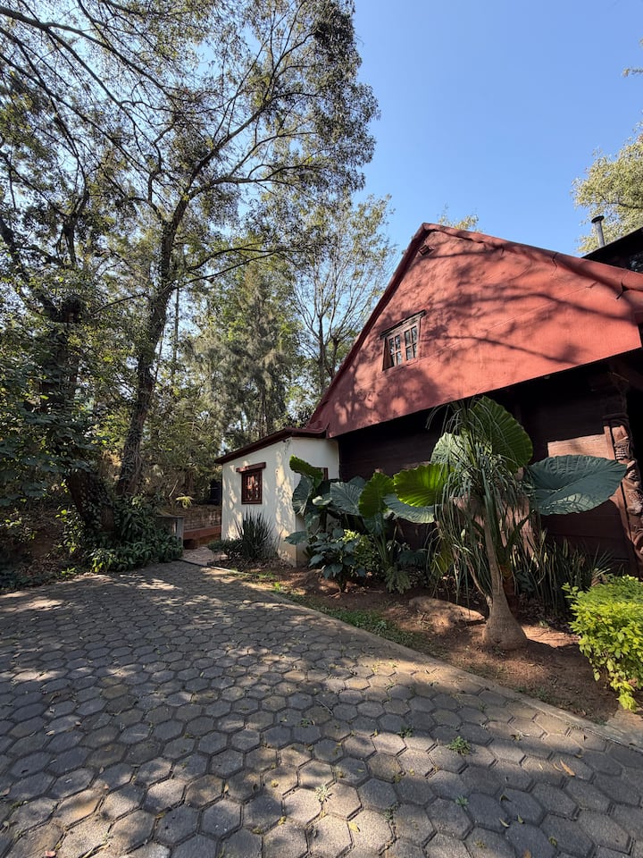 Troje Con Jacuzzi Climatizado. - Morelia