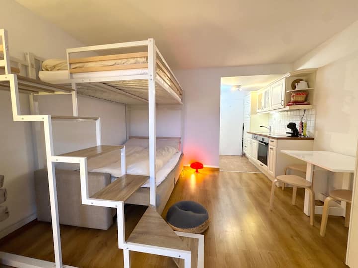 Studio Au Porte Du Soleil. - Morzine