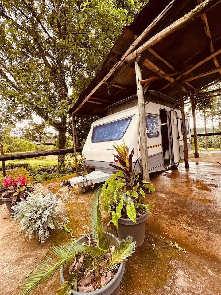 Terebinte Eco Adventure Camper - Graskop