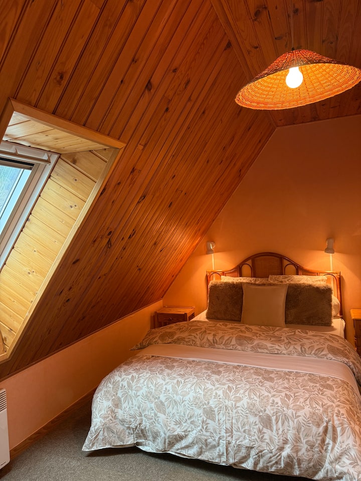 Entre Pins 2 - Le Lioran (Super Lioran)