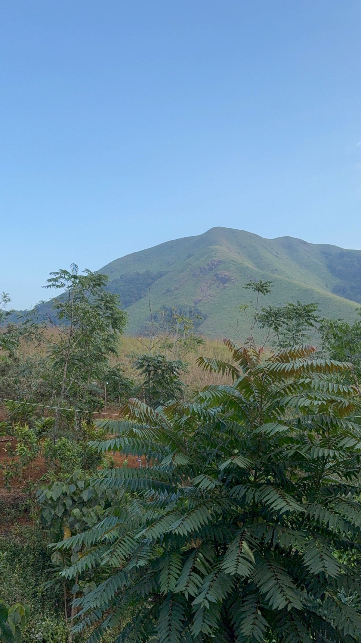 Nomadic Mounty Sathram Hut3 - Shepherd's huts (UK, France) for Rent in ...