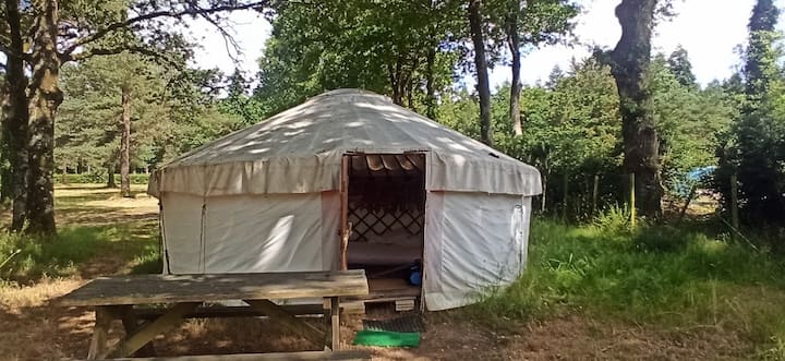 Les Insolite De Broceliande, La Yourte Bretonne - Paimpont