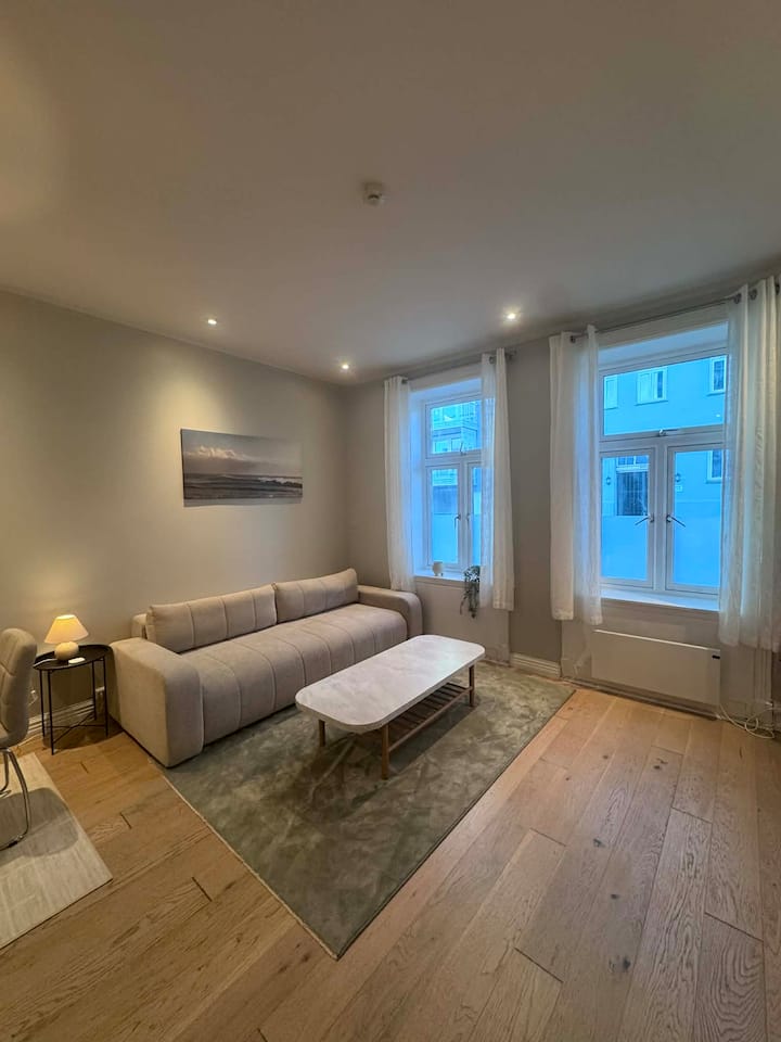 Lys Og Koselig Leilighet På Sandaker - Oslo