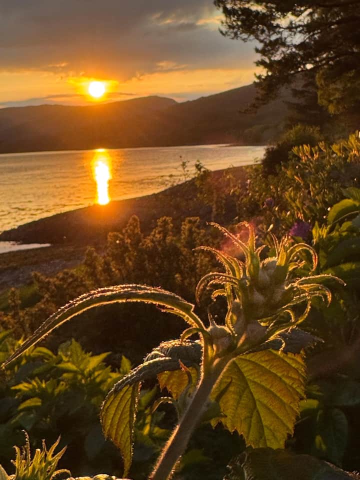 Private Lochside Bungalow - Pet Friendly - Fort William