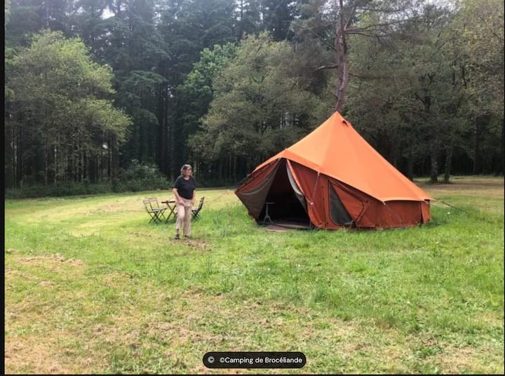 Les Insolites De Broceliande, La Guenièvre - Paimpont