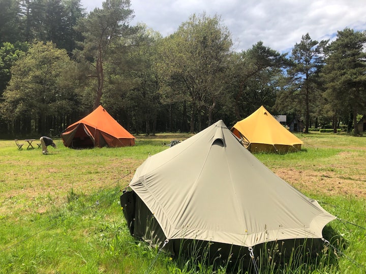 Les Insolites De Broceliande, La Ménestrel - Paimpont