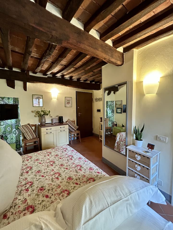 Little Cozy Il Nido Old Town Lucca - Lucca