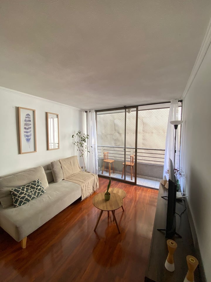 Refugio A Pasos De Lastarria Y Metro Bellas Artes. - Santiago del Chile