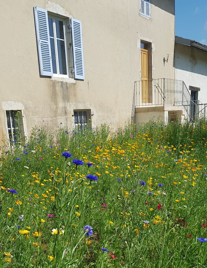 Appartement à La Campagne - Ain