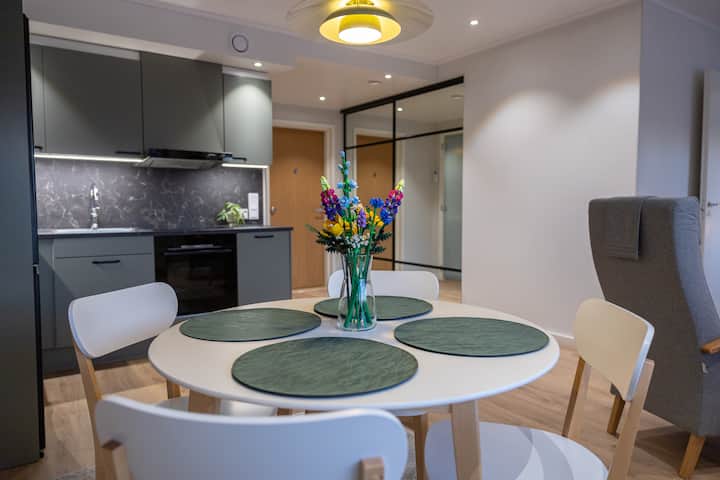 High Standard City Center Appartment 1 - Saarijärvi