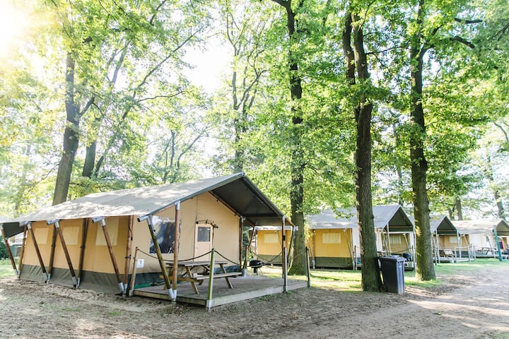 Safarizelte 1 - 7 Am Strand Vom Ternscher See - Olfen