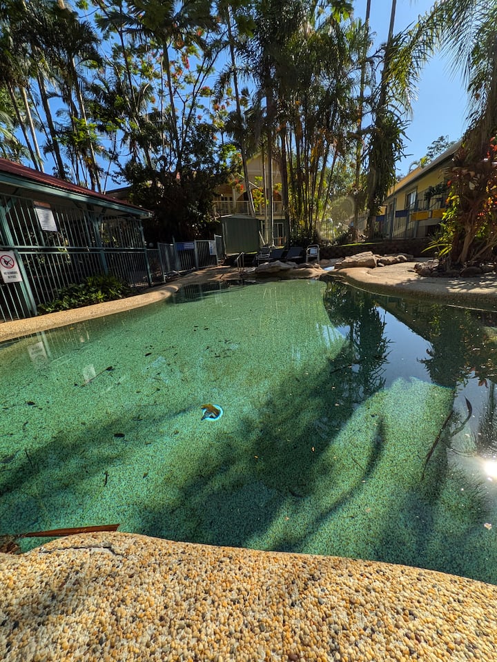 Tropical Beach Resort Private Spa Family Pets Pool - Coffs Harbour