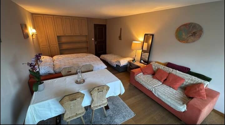 Bright Cozy Room In The Heart Of St Moritz - Saint Moritz