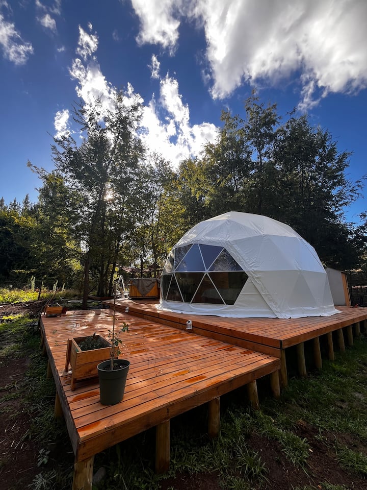 Domo Botánico Entre áRboles, Tinaja Y Piscina. - Yungay