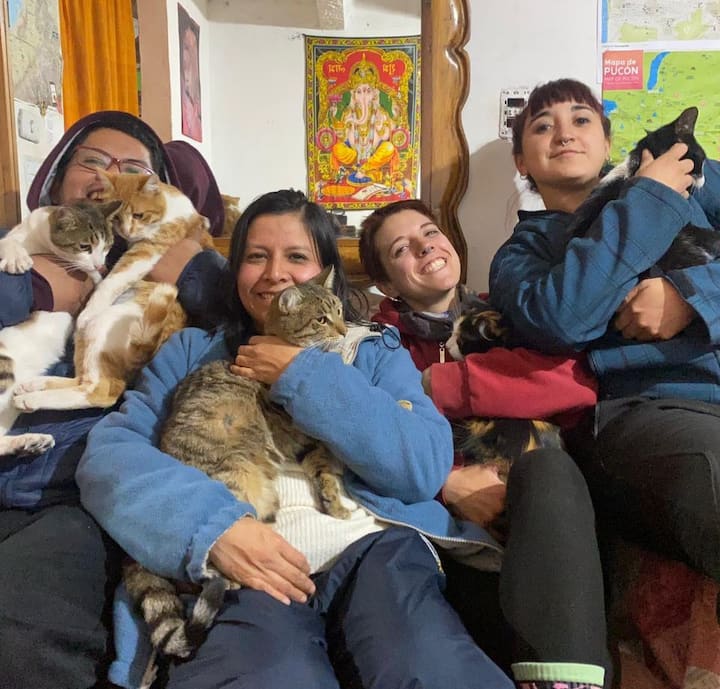 Michihouse Backpackers - Colina