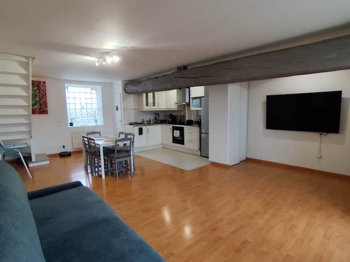 Appartement Autonome Cosy Paris Cdg - Goussainville