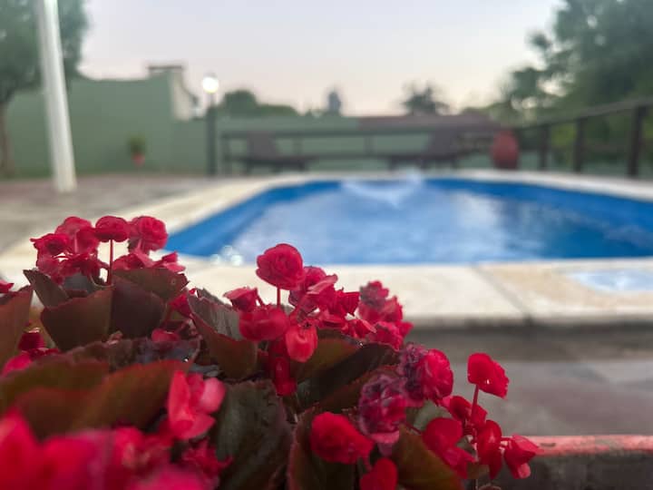 Agradable Monoambiente En Complejo Con Pileta - villa Gesell