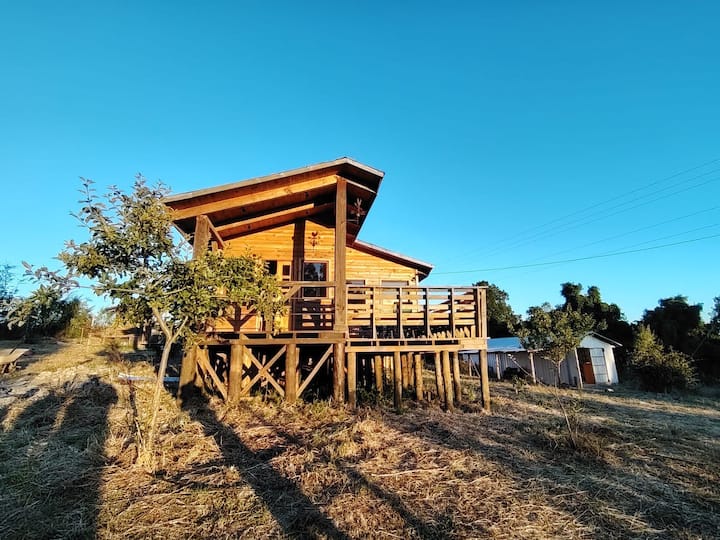 Cabaña Llantén - Contulmo