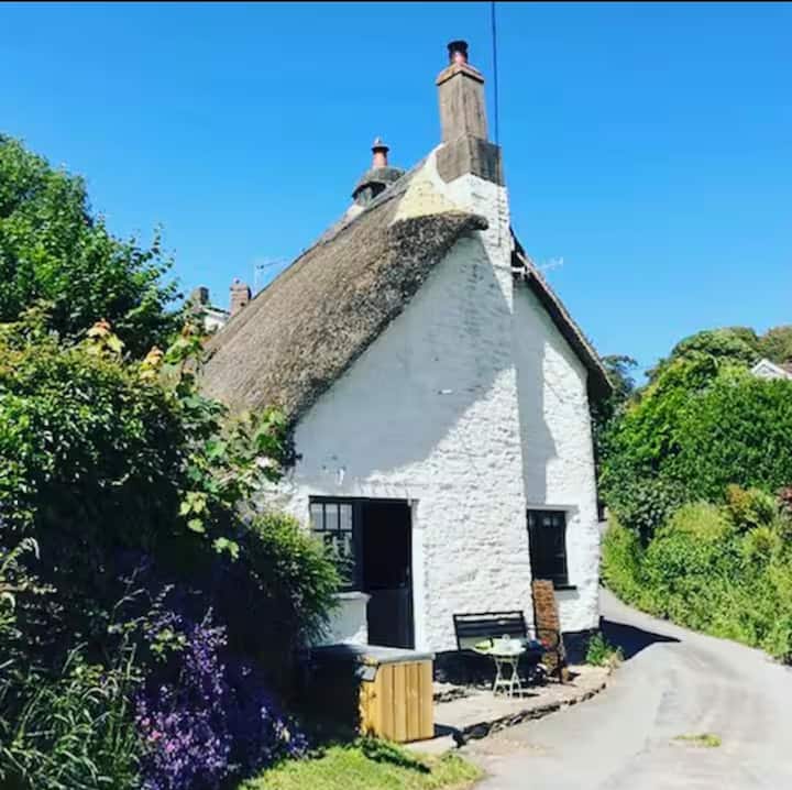 Romantic Cosy Cottage - Kingsbridge