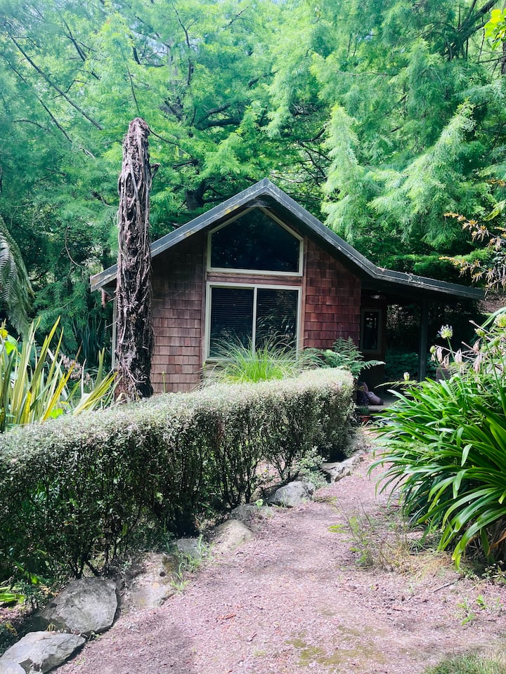 The Little Retreat Cabin - Richmond