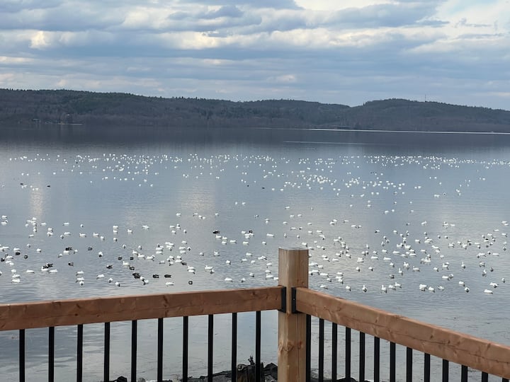 Maison Vue Sur L'eau – 15 Min Du Parc Oméga - Hawkesbury