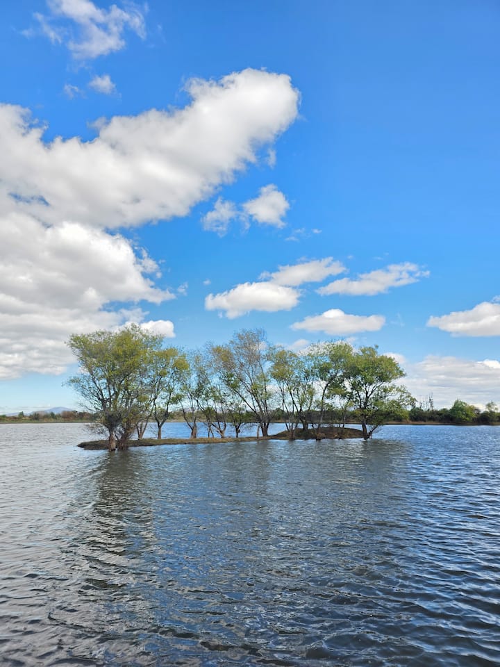 ¡Nueva! Bamboo Rancho Maravilla - Querétaro