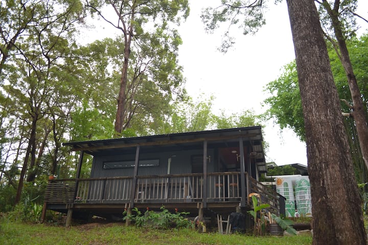 Ss Ship Shack! - Mooloolaba
