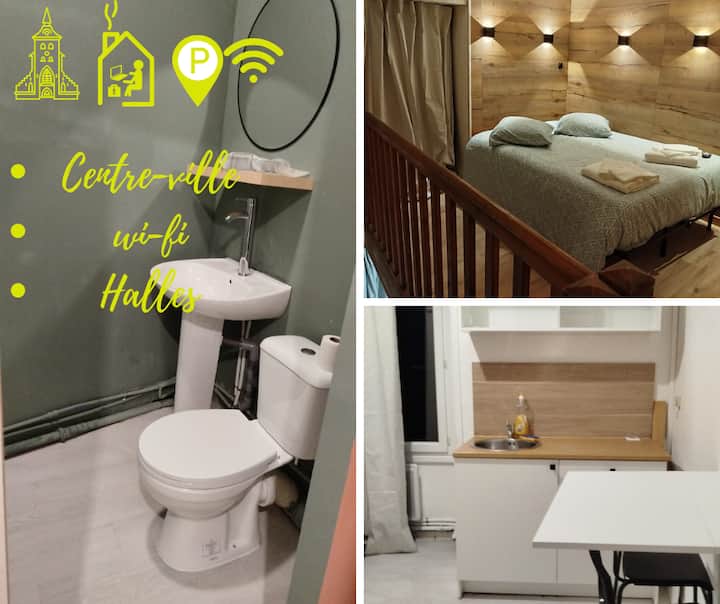 Bois Dormant-cosy-t2-wifi-centre-ville-parking - Luçon