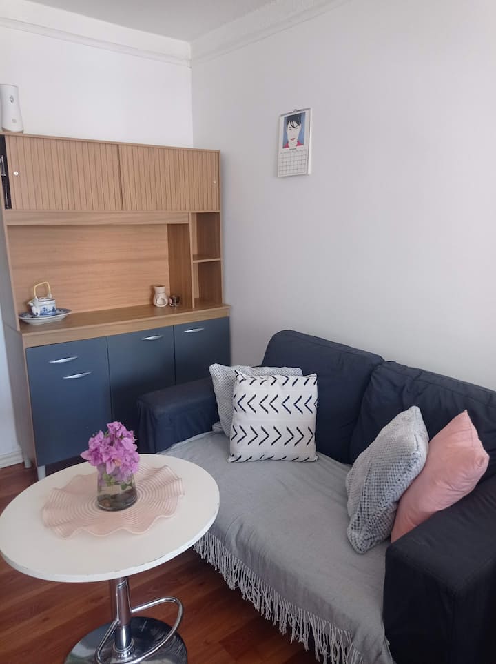 Monoambiente En Centro - Montevideo