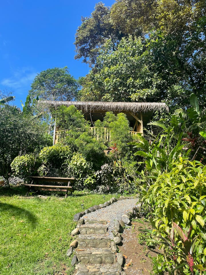2 Bedroom Jungle Casita On Isla Colón - Panama