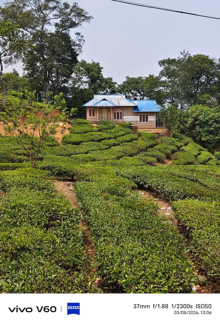 Budget Cottage In Vagamon, Ideal For Small Groups - Vagamon