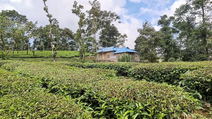 Budget Cottage In Vagamon, Ideal For Small Groups - Vagamon