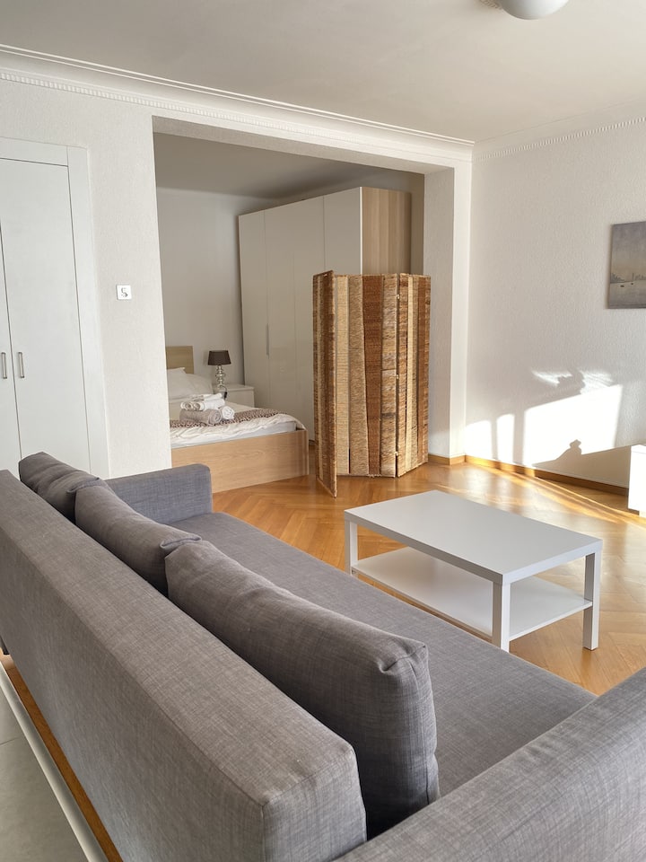 Sunny Little Studio-city Centre & Train Station - Lausanne