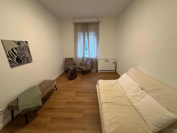 1. Zimmer Appartement St. Johannis Nürnberg - Nuremberg