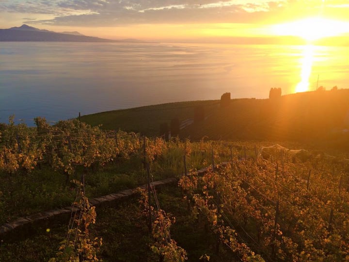 Appartement Avec Terrasse Et Vue Sur Le Lac - Lausanne