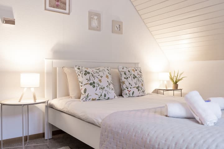 Mielivahomes/montagnes/lac/famille/balcon/parking - Aarau